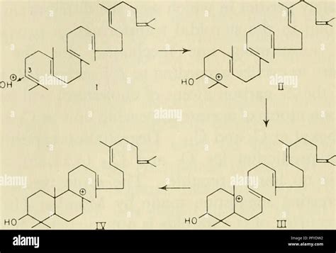Currents In Biochemical Research 1956 Twenty Seven Essays Charting The Present Course Of