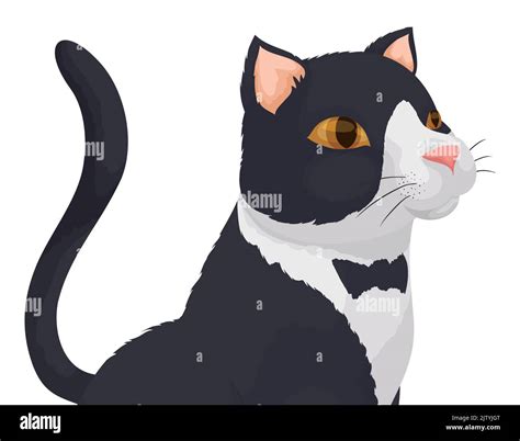Tuxedo Feline Stock Vector Images Alamy