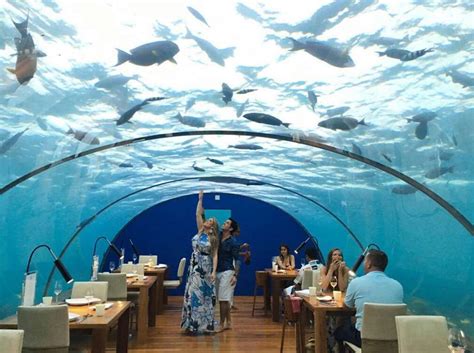 海底餐厅 随意云