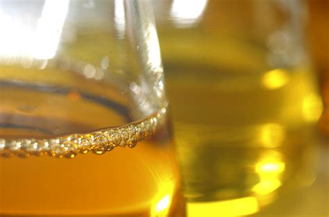 O Biodiesel No Brasil Trr São José