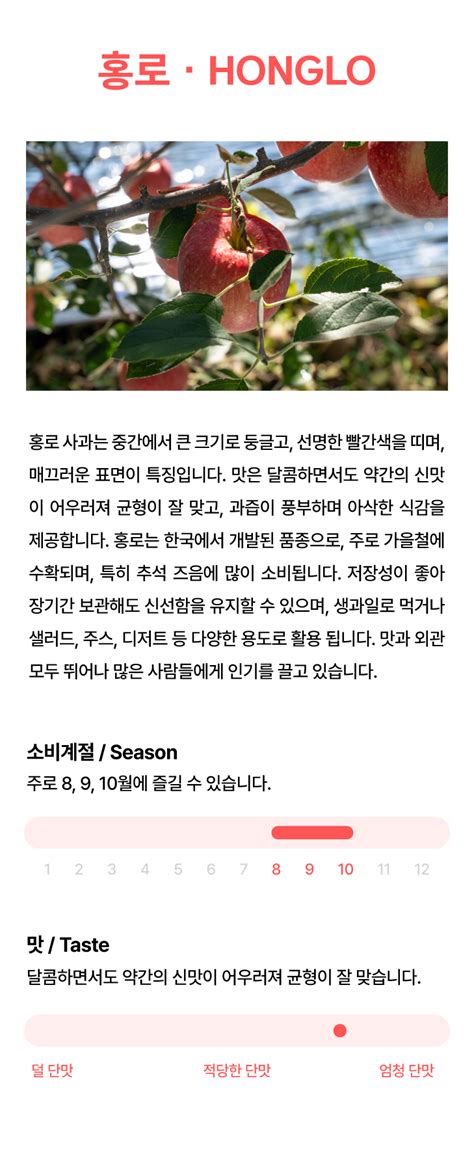 디에스푸즈 Ds Foods