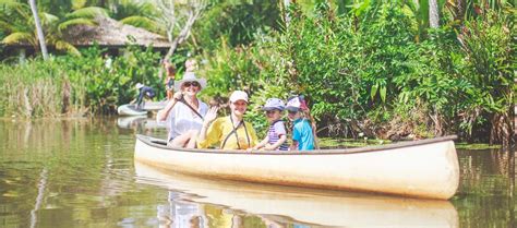 River Cruising In Sri Lanka Sri Lanka Activities Red Dot Tours