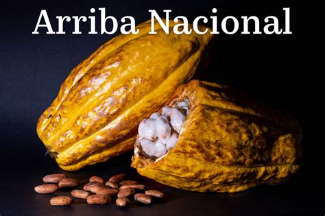 100 Ren Kakaomasse Fra Hacienda Victoria Clásico Ecuador Pura Cacao