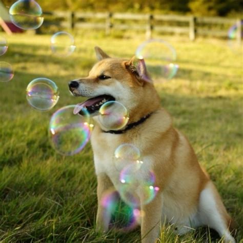 G P Ch C N Si U Hot Tr N M Ng X H I Hi N Nay