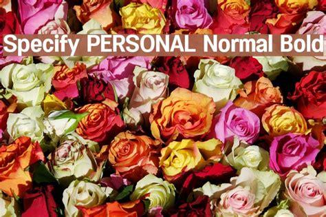 Specify PERSONAL Normal Bold Font FFonts Net