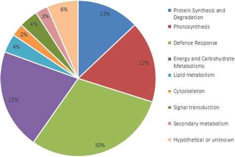 Functional Categorization Of Deps Download Scientific Diagram