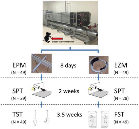 advanced blast simulator and behavioral testing paradigms a single