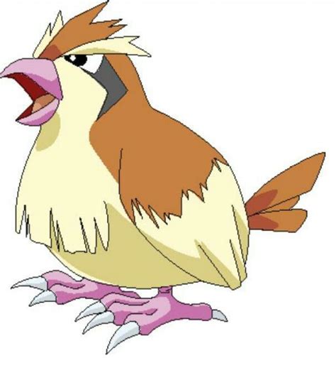 Whats Your Favorite Route 1 Bird Pokemon Pokémon Amino