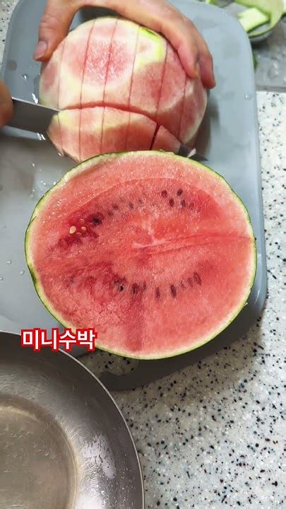 미니수박 Mini Watermelon Youtube