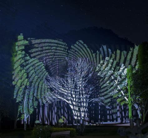 Tree Projection 6 Night Landscape Projection Mapping Installation Art