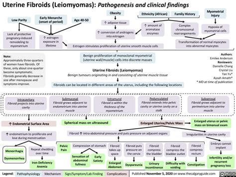 Uterine Fibroids Leiomyomas Pathogenesis And Clinical Findings