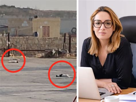 “int Min Int Se Nagħmlu Minn Kollox Biex Tiffaċċja L ġustizzja Li