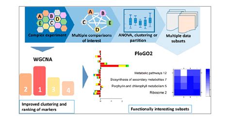Frontiers Differential Co Expression Network Analysis 56 OFF