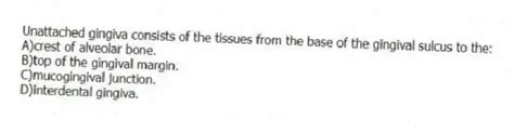 Unattached Gingiva Consists Of The Tissues From The Base Of The