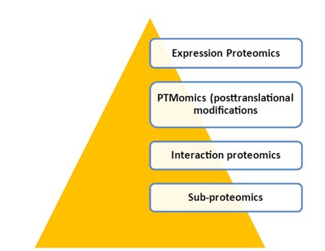 Silac A General Workflow For Improved Mass Spectrometry