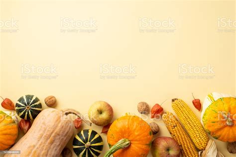 추수 감사절 개념 원시 야채 호박 조롱박 사과 옥수수 호두와 Physalis의 상단보기 사진 카피 스페이스가있는 고립 된 베이지 색 배경에 11월에 대한 스톡 사진 및 기타
