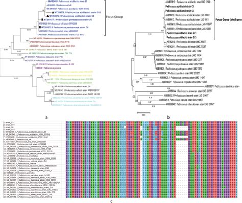 乳酸片球菌作为预防高血糖、高胆固醇血症和胃肠道感染的潜在益生菌的基因组分析和体内功效 Scientific Reports X Mol