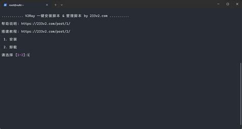 Vultr 自建梯子流程（使用 V2ray） Snowflyt的博客