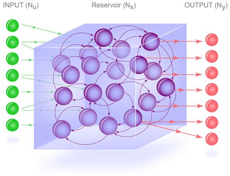 The Full Reservoir Architecture Of The Echo State Network The Green Download Scientific