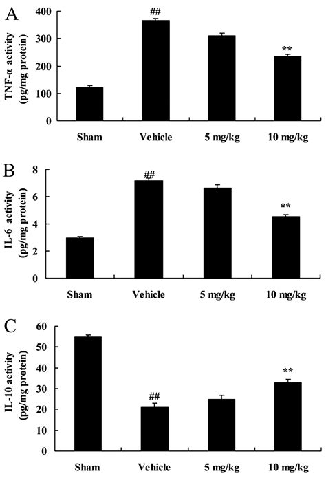 Sirt1 Exerts Neuroprotective Effects By Attenuating Cerebral Ischemia