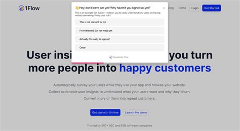 Exit Intent Surveys