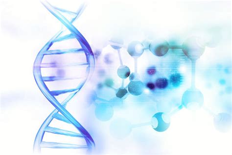 O que é DNA Brasil Escola