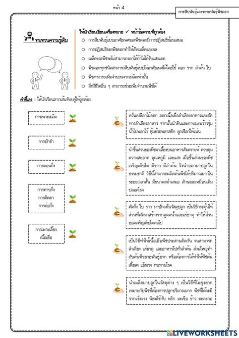 ใบงาน เรื่อง กา… Free Interactive Worksheets 7036357