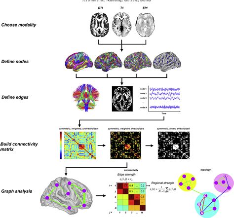 Figure 1 From Schizophrenia Neuroimaging And Connectomics Semantic Scholar