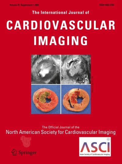 Strain Imaging In Echocardiography Methods And Clinical Applications