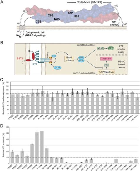 Activation Of The Ilt7 Receptor And Plasmacytoid Dendritic Cell