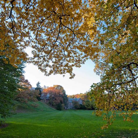 Wellesley Massachusetts Urban Tree Canopy Assessment Planit Geo™