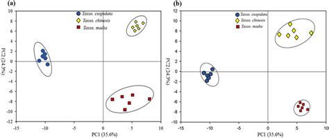 The PCA Score Plot A And PLS DA Score Plot B Of Compounds Among T Download Scientific