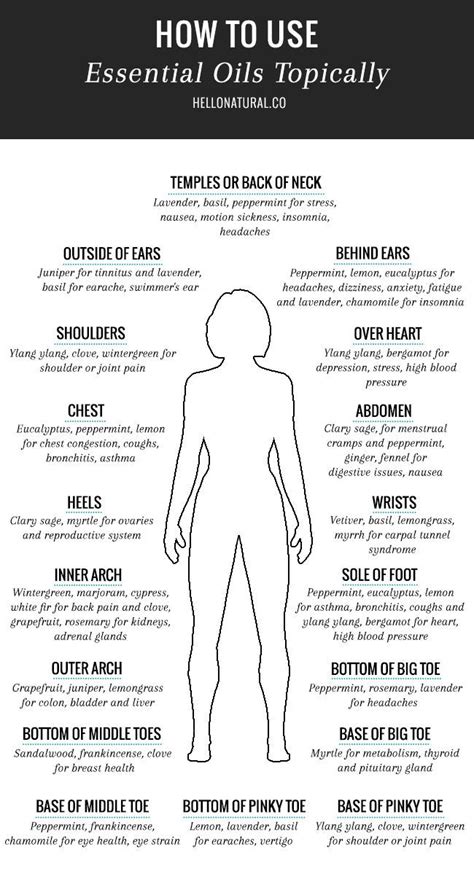5 Ways To Use Essential Oils Every Day Essential Oils Collection