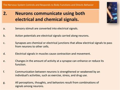 Sf N Neuroscience Core Concepts Powerpoint Ppt