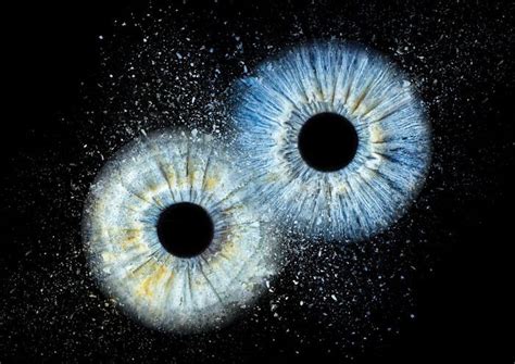 The Complex Business Of Iris Photography Is Capturing The Beauty Of The