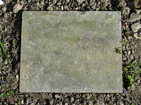 The Language Of Stone Mandale Limestone