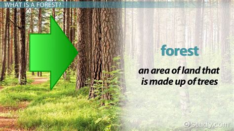 Understanding Random Forest Understanding Data Science