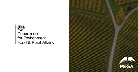 Defra How The Uks Defra Enhanced Its Rapid Incident Response Pega