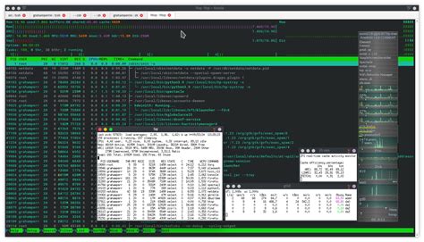 Occasional Questionable Measurement Of Shared Memory On Freebsd · Issue