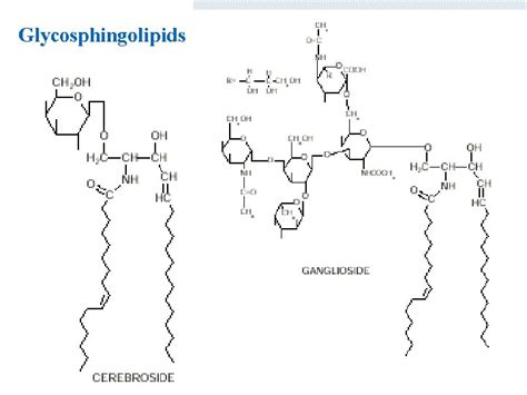 Lipids By Endang Astuti Chemistry Department Lipids Can