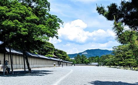 Big（学生団体てらふる）《pando》