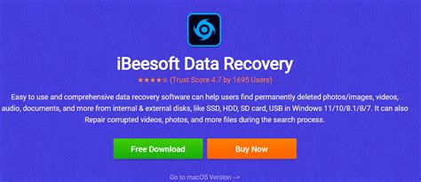 Ibeesoft Data Recovery Review [2025] Is It Worth It