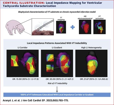 Biophysical Tissue Characterization of Ventricular Tachycardia ...