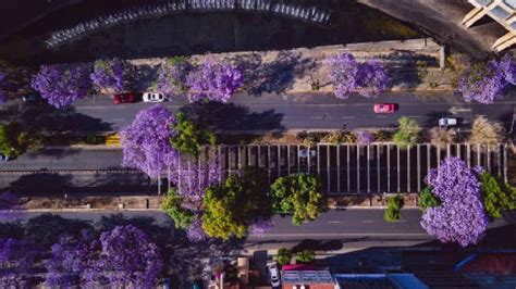 Hoy No Circula ¿qué Autos No Circulan El Lunes 14 De Julio De 2025 En