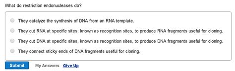 Solved Which Of These Are Properties Of Plasmids Choose All Chegg