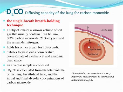 Ppt Pulmonary Function Testing Powerpoint Presentation Free Download