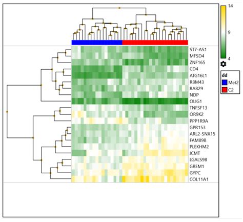Ijms Free Full Text Whole Transcriptome Analysis Of Breast Cancer