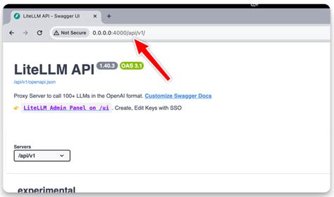 Ui Custom Root Path Litellm