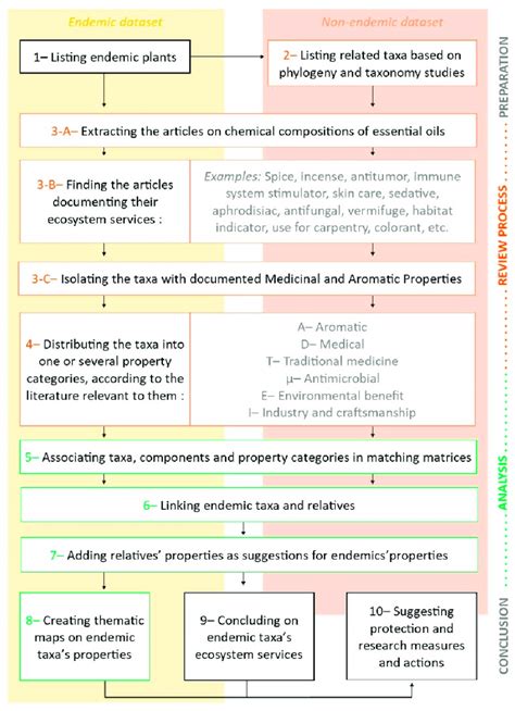 Methodological Flowchart Of The Study Download Scientific Diagram