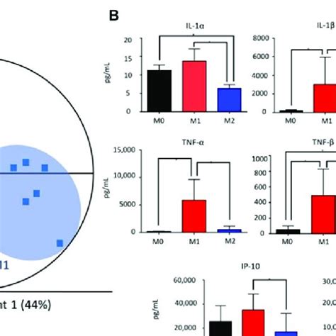 Distinct Cytokine Signatures Of Polarized Macrophages A Partial